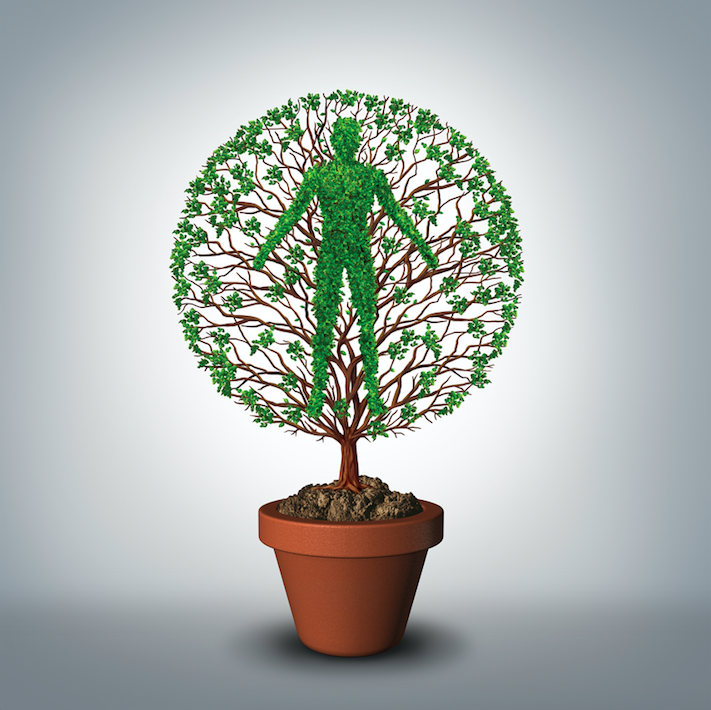 Acuhealth Integrative Medicine - Acupuncture & Natural Medicine